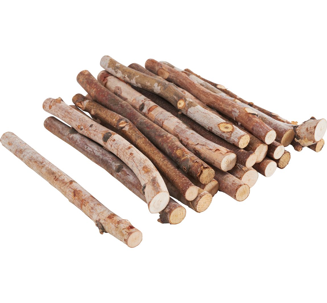 Berken takken, 20 stuks | Knutselwinkel VBS Hobby
